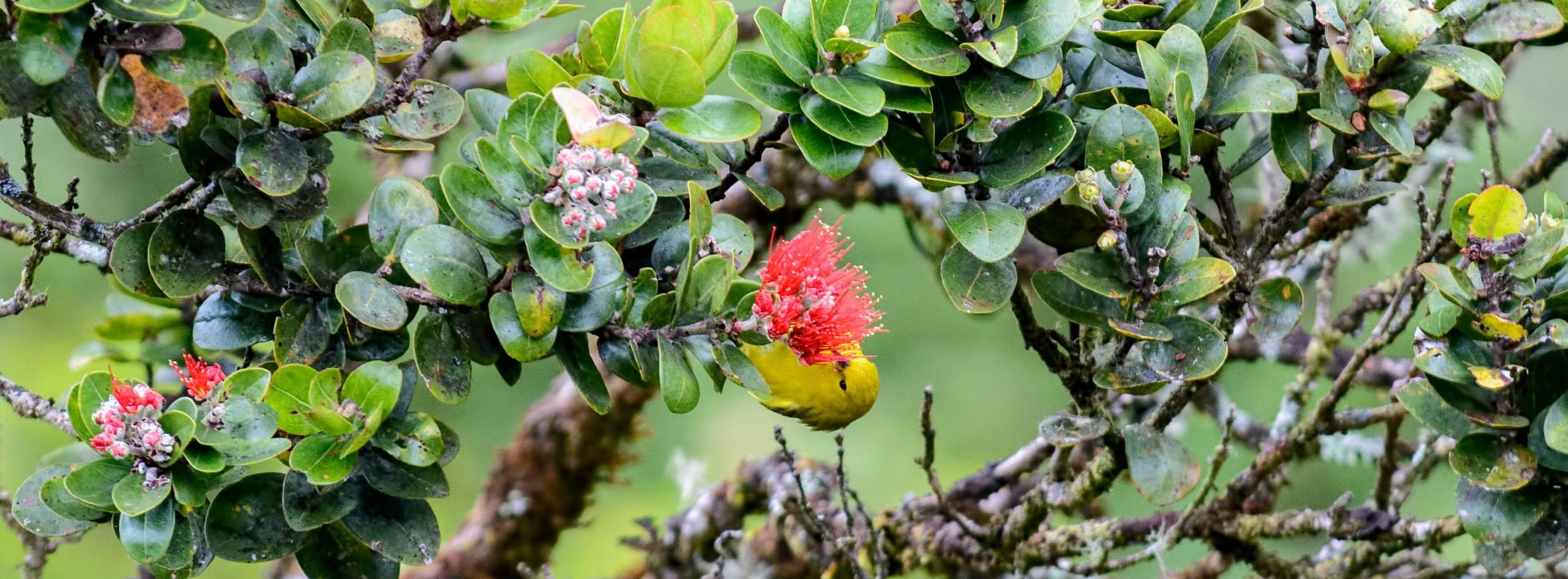 PCSU - Timesheet Reporting Schedule